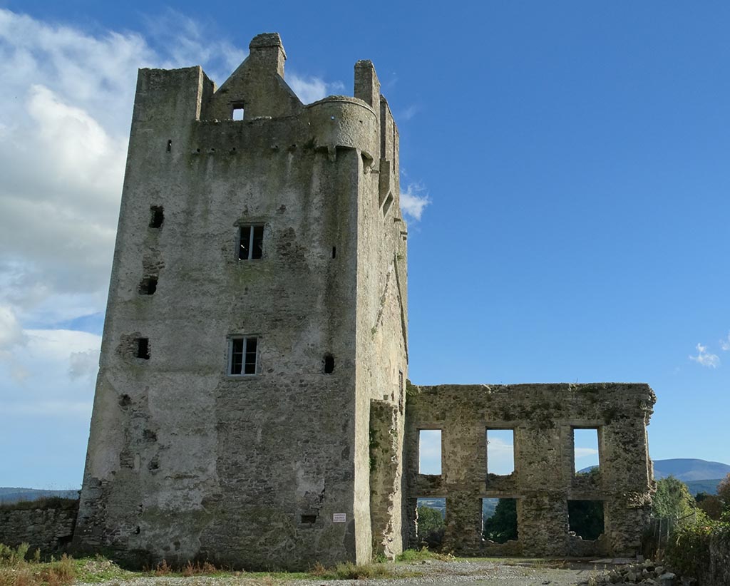 Historic Kilcash – Cad a dhéanfaimid feasta gan adhmad?